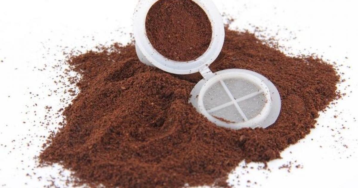 For EuBP only compostable single-serve coffee capsules | Packaging ...