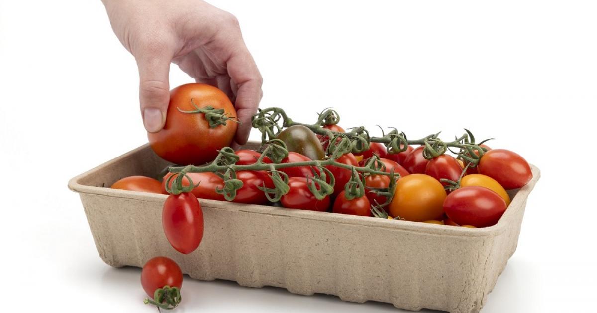 TIPA launches new compostable solutions at Packaging Innovations 2024 ...