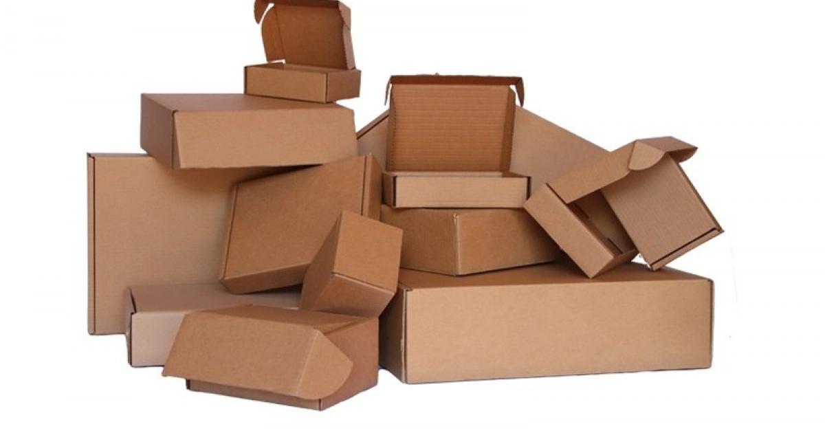 Sofair protagonista a Ecomondo 2025 con il packaging in carta ...