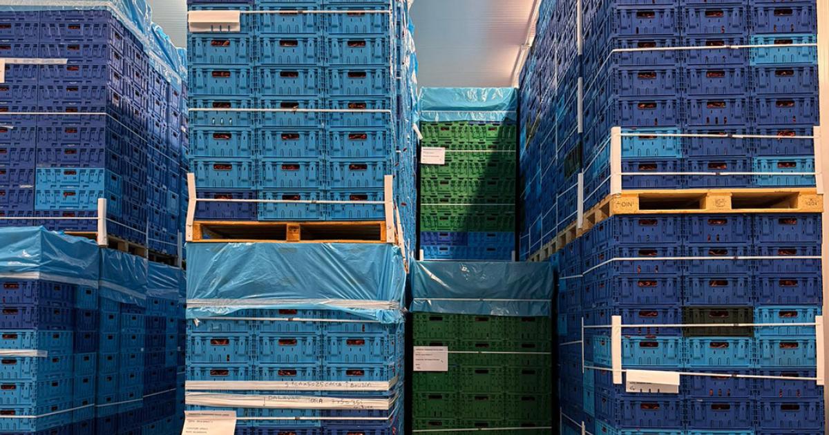 Fiordelisi adopts Tosca’s reusable Active Lock Crates | Packaging ...