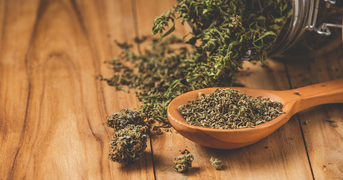 Bioplastics from hemp waste | Packaging Speaks Green